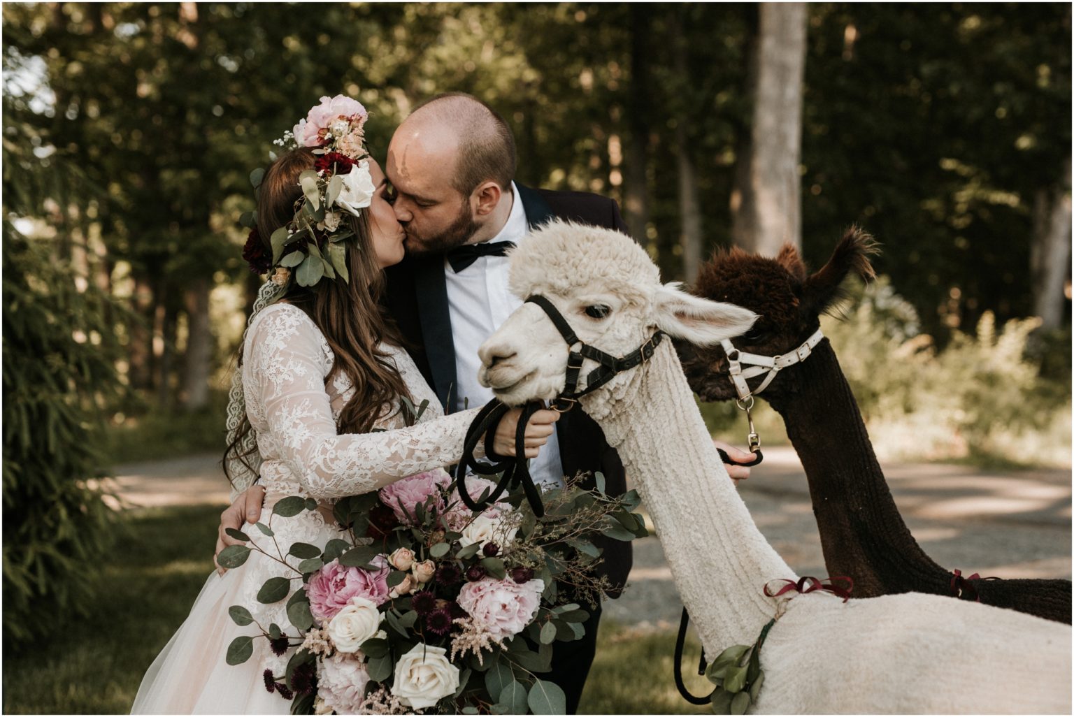 Summer Bluebird Farm Alpacas Anniversary Session, Peapack NJ | Beata ...