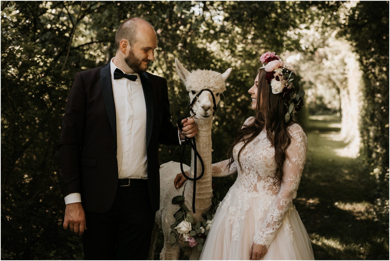 Summer Bluebird Farm Alpacas Anniversary Session, Peapack NJ | Beata ...