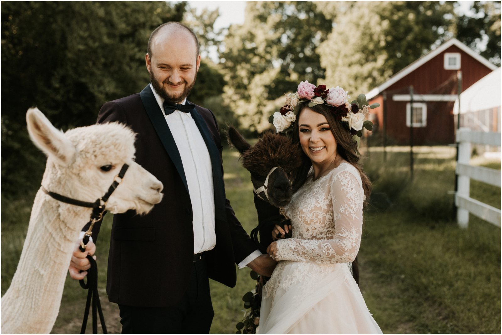 Summer Bluebird Farm Alpacas Anniversary Session, Peapack NJ | Beata ...